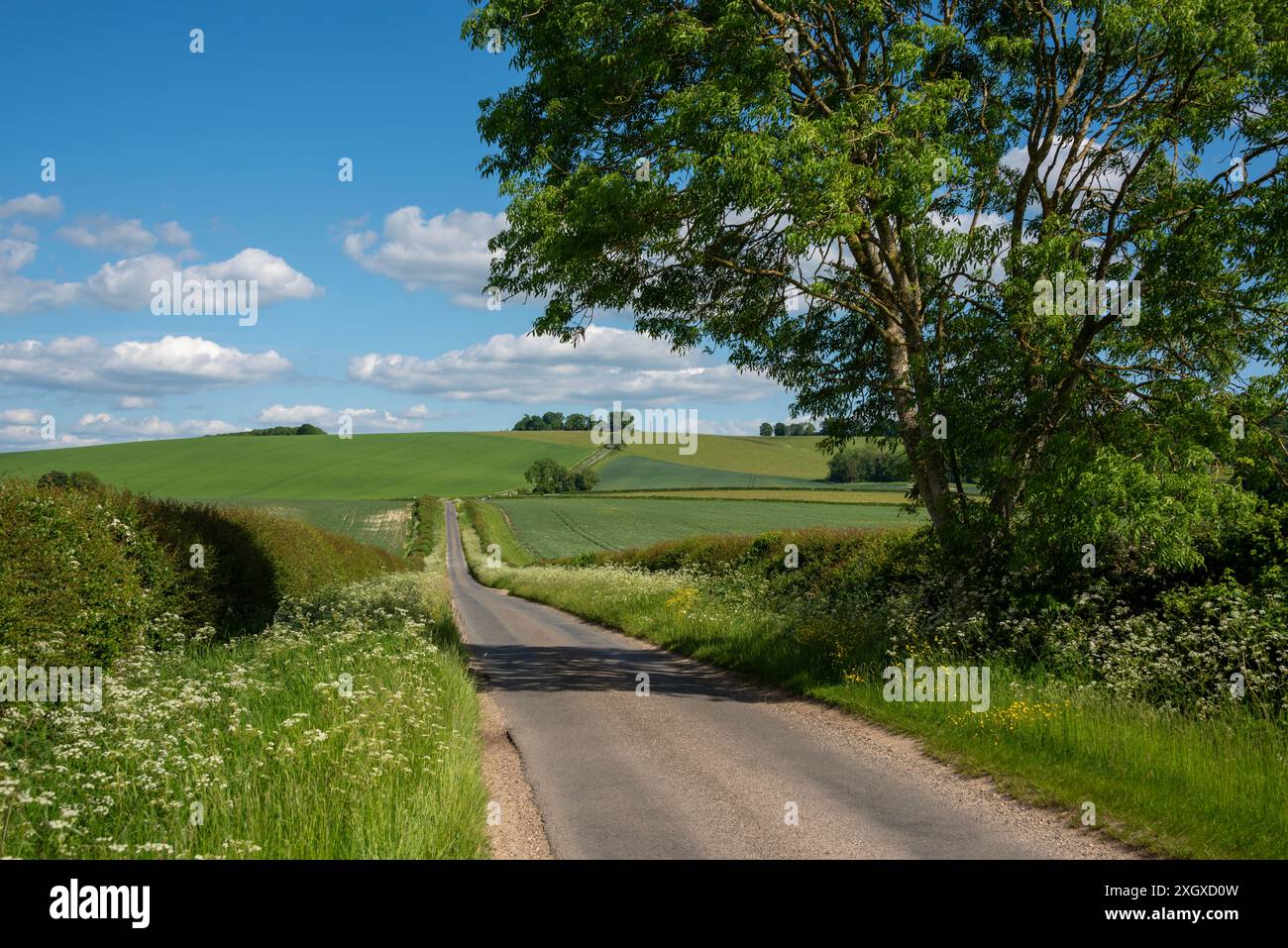 Britwell hi-res stock photography and images - Alamy