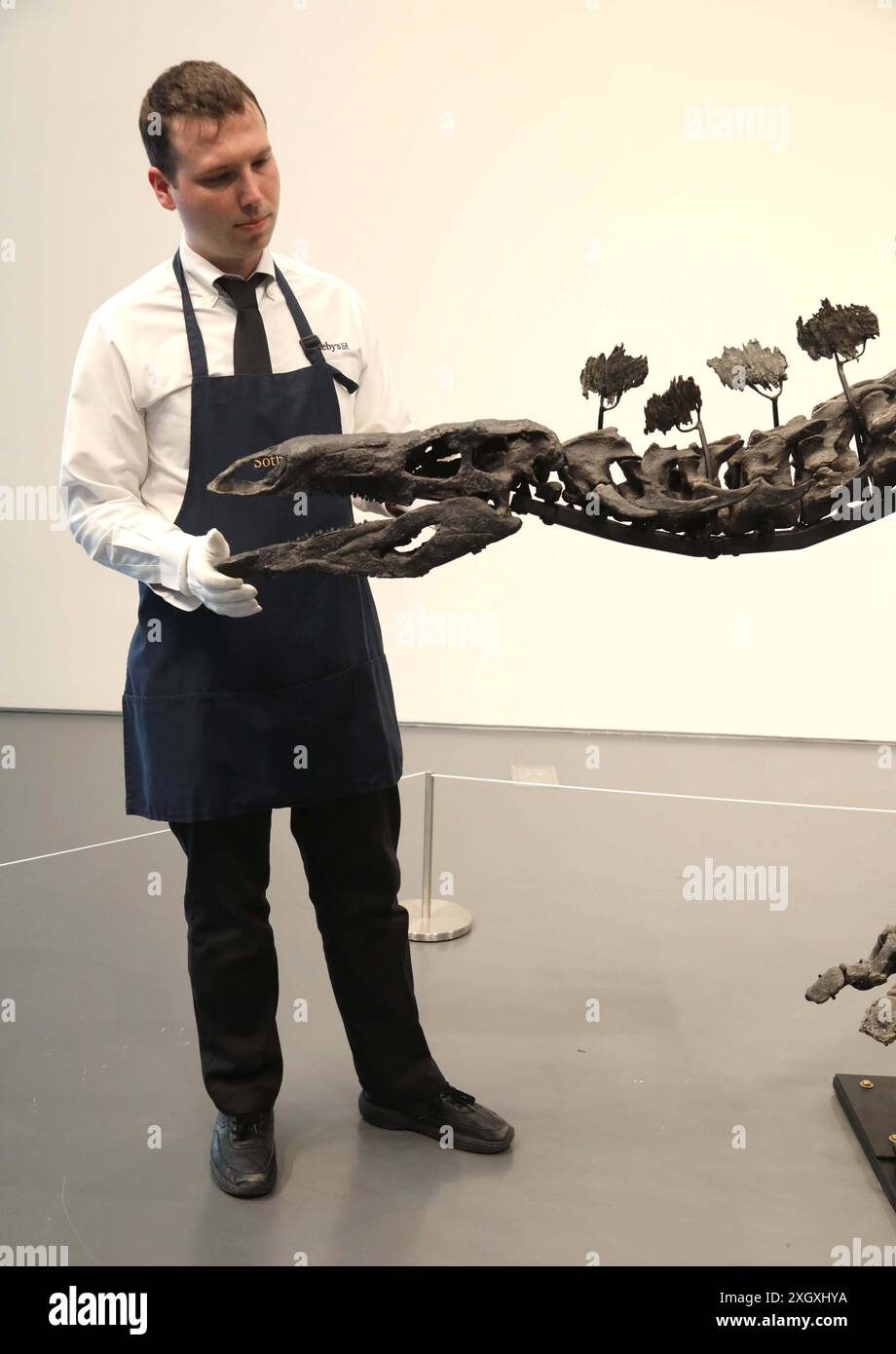 New York, New York, USA. 10th July, 2024. A handler seen with the head ...