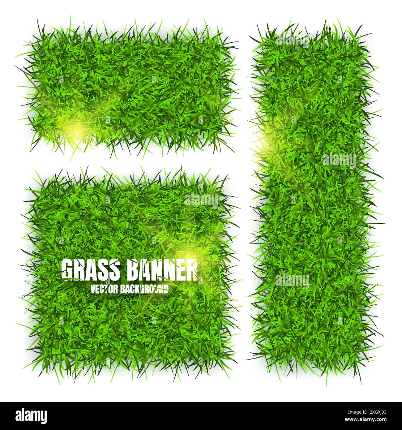 Green grass banners, background. Field, meadow texture, grassy ...