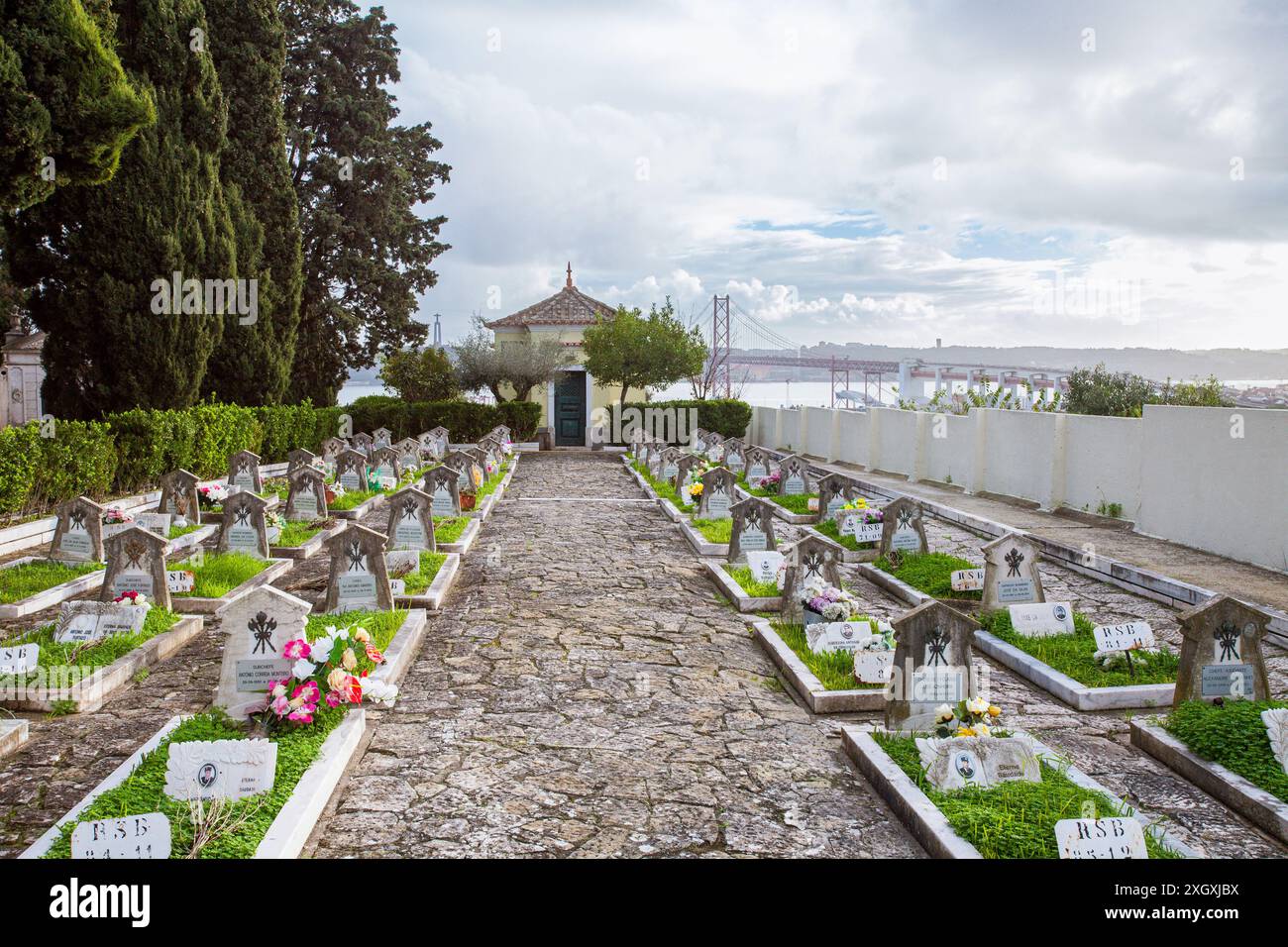 The western side of the Prazeres Cemetery (Cemiterio dos Prazeres ...