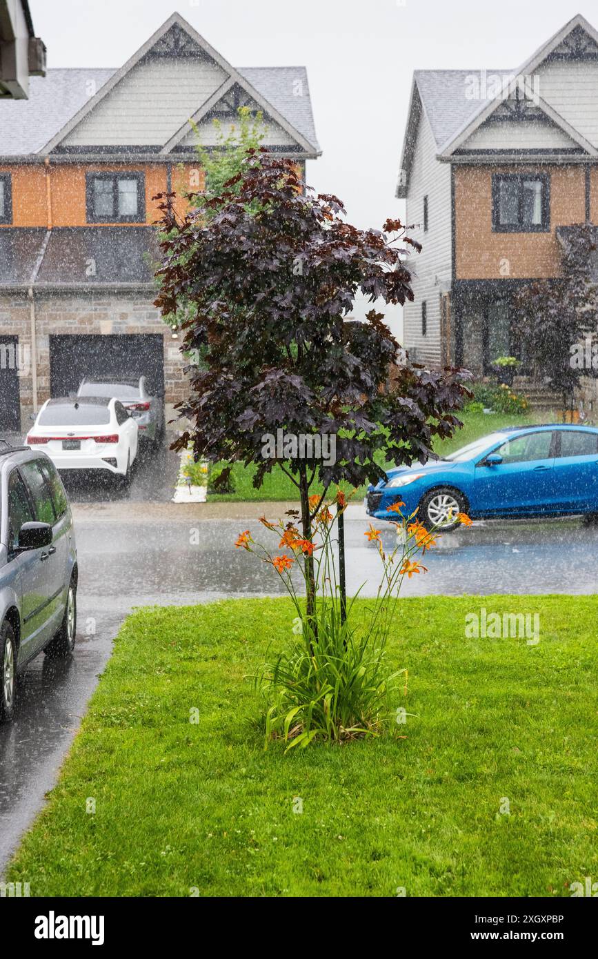 2024 hurricane hi-res stock photography and images - Alamy