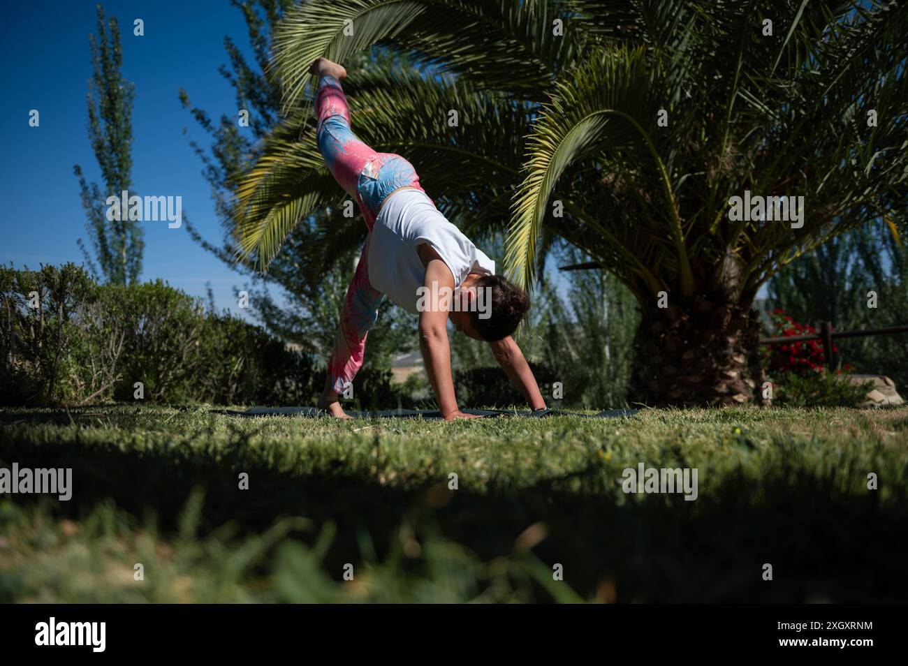 Woman performing yoga in a garden with palm trees, demonstrating ...