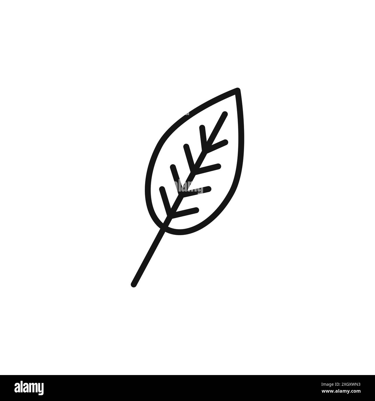 Mint tea line icon Cut Out Stock Images & Pictures - Alamy