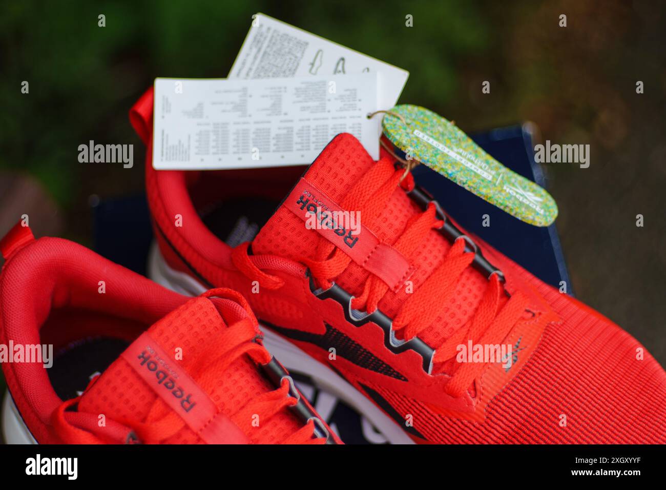 Tyumen, Russia-June 20, 2024: Reebok logo sneakers and its box with the ...