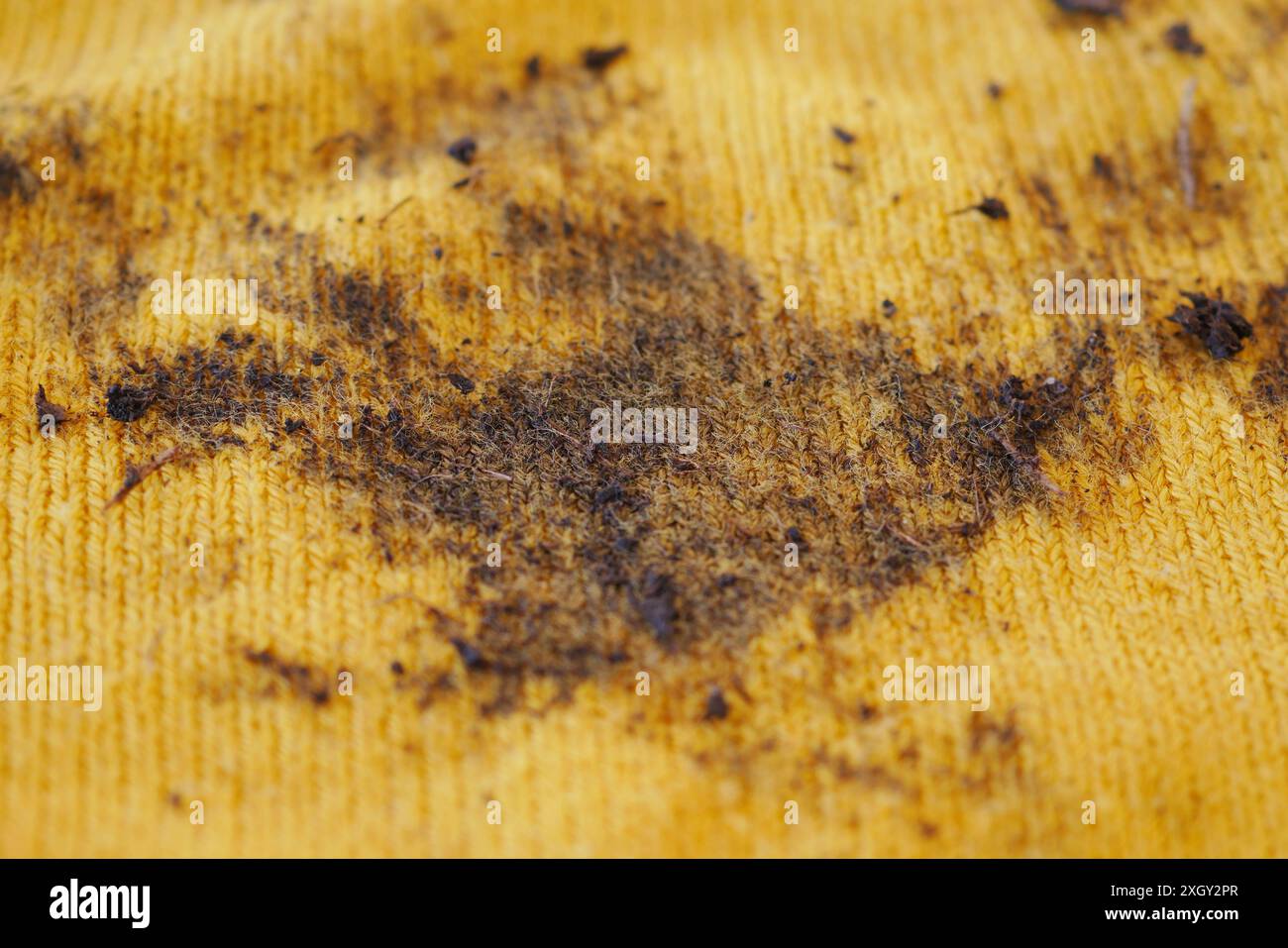 dirty mud stain on a yellow color cloth Stock Photo - Alamy