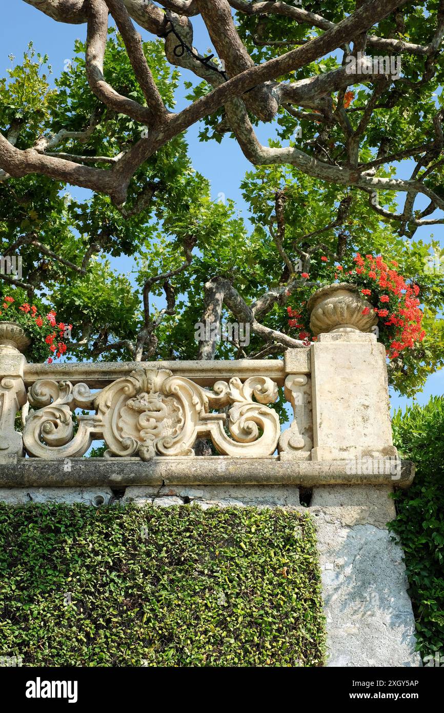 Twisted branches overhead, an ornate carved stone garden balustrade ...