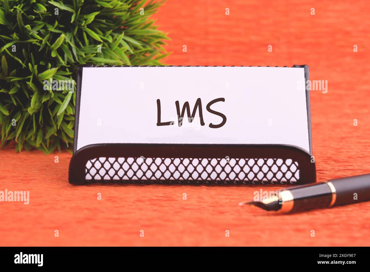 Word LMS Abbreviation of Learning management system on a white business ...