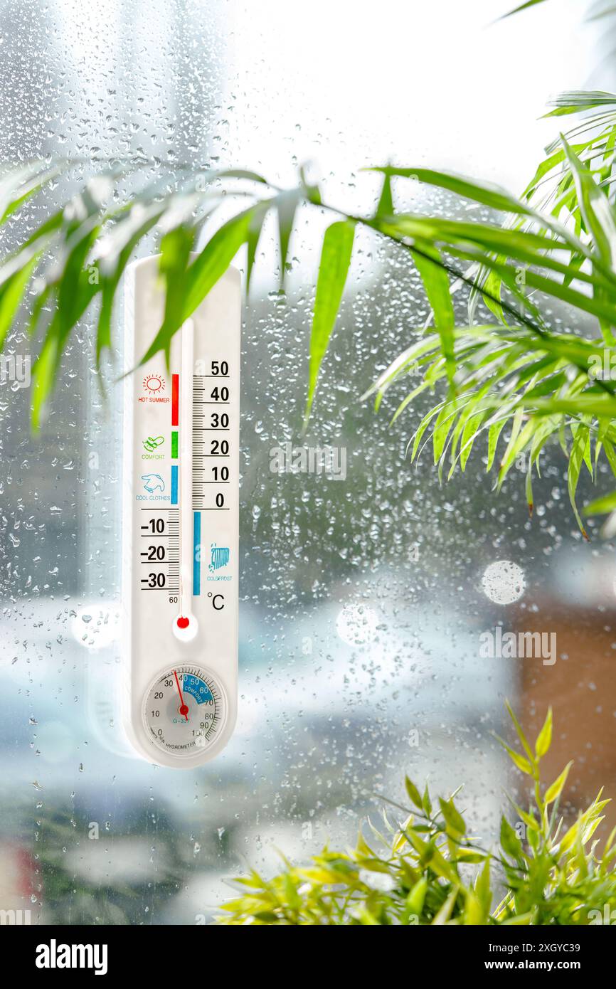 Thermometer Attached to Window With Rain and Plant Stock Photo - Alamy