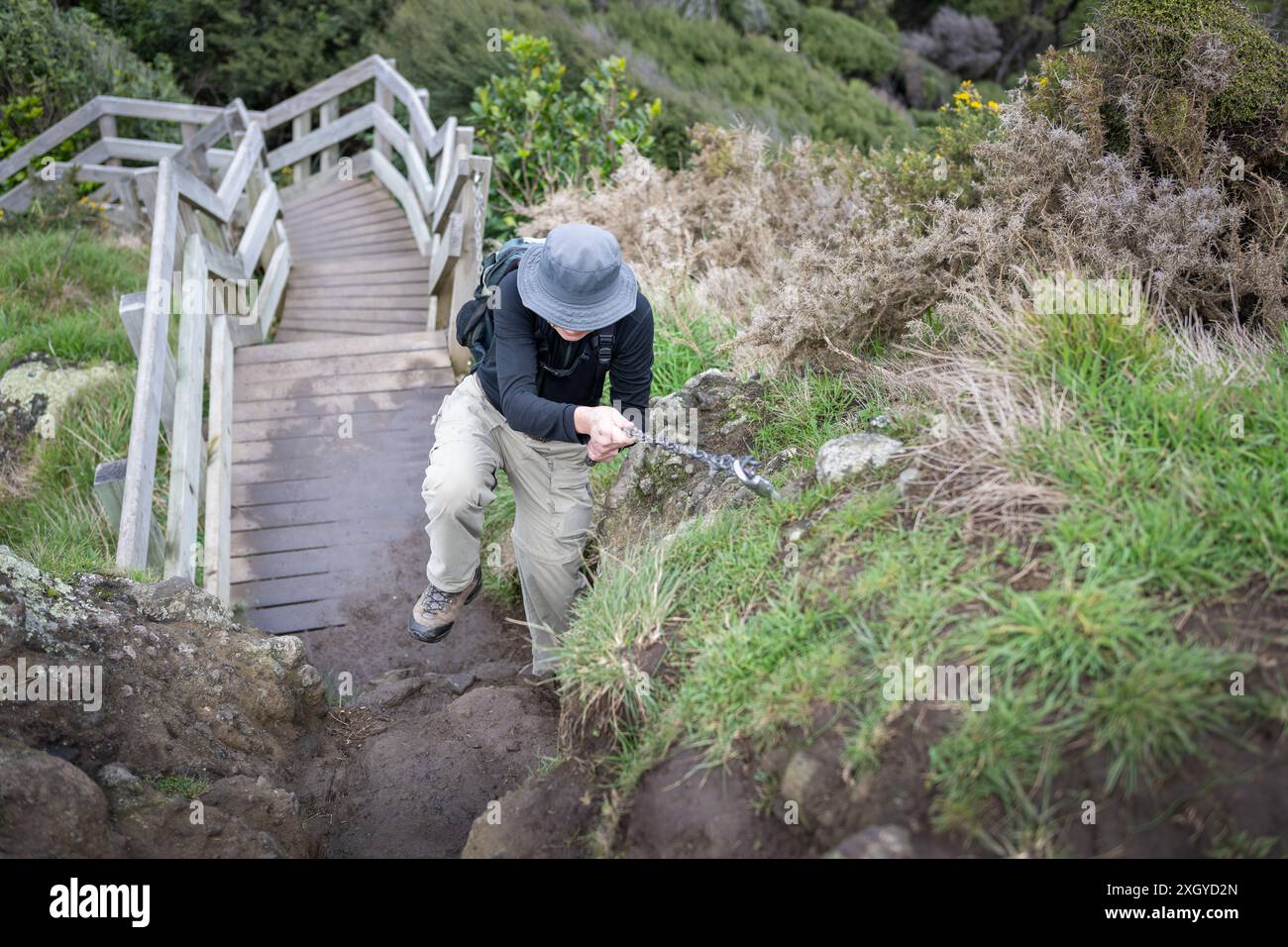Man climbing up steep rocks with the chains. Omanawanui track in the ...