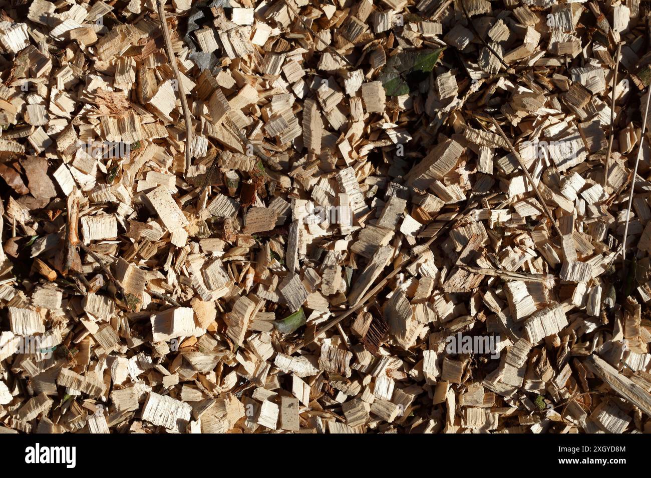 Wood shavings ,Wood chips, bark mulch, floor covering, wallpaper Stock ...