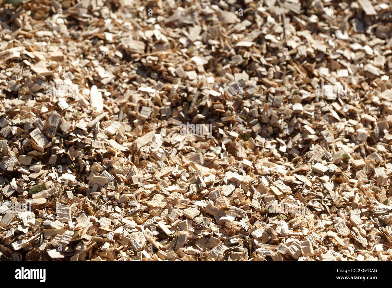 Wood shavings ,Wood chips, bark mulch, floor covering, wallpaper Stock ...