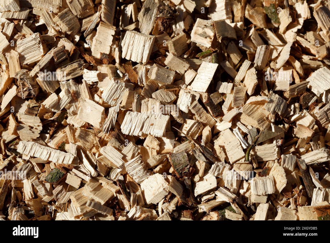 Wood shavings ,Wood chips, bark mulch, floor covering, wallpaper Stock ...