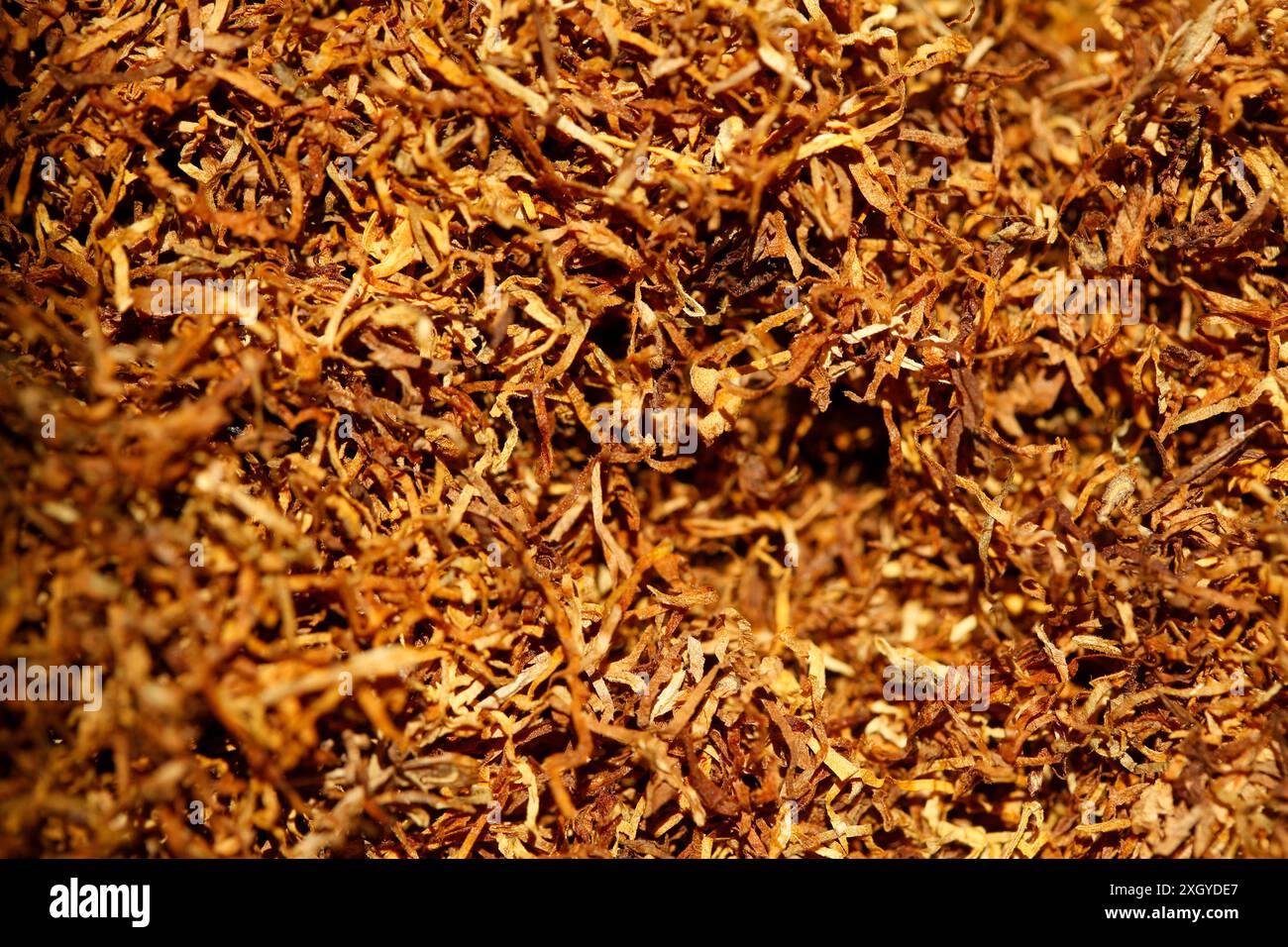 Tobacco, tamping tobacco, volume tobacco, background, Germany Stock ...