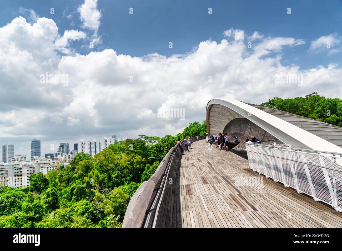 Wonderful view of amazing bridge imitating a wave. Fantastical shape of ...