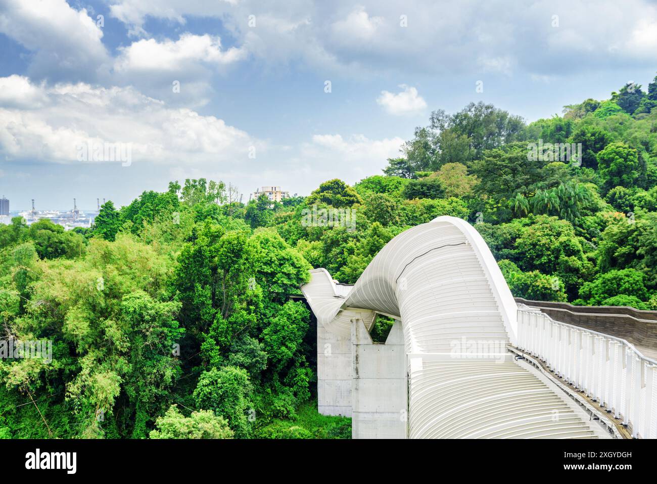 Wonderful view of amazing bridge imitating a wave. Fantastical shape of ...