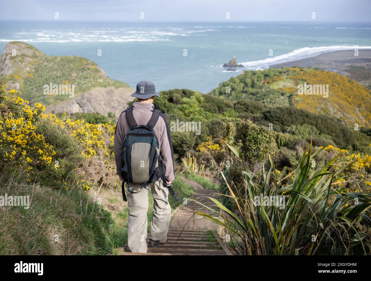 Man walking down steps. Whatipu Beach in the distance. Omanawanui track ...