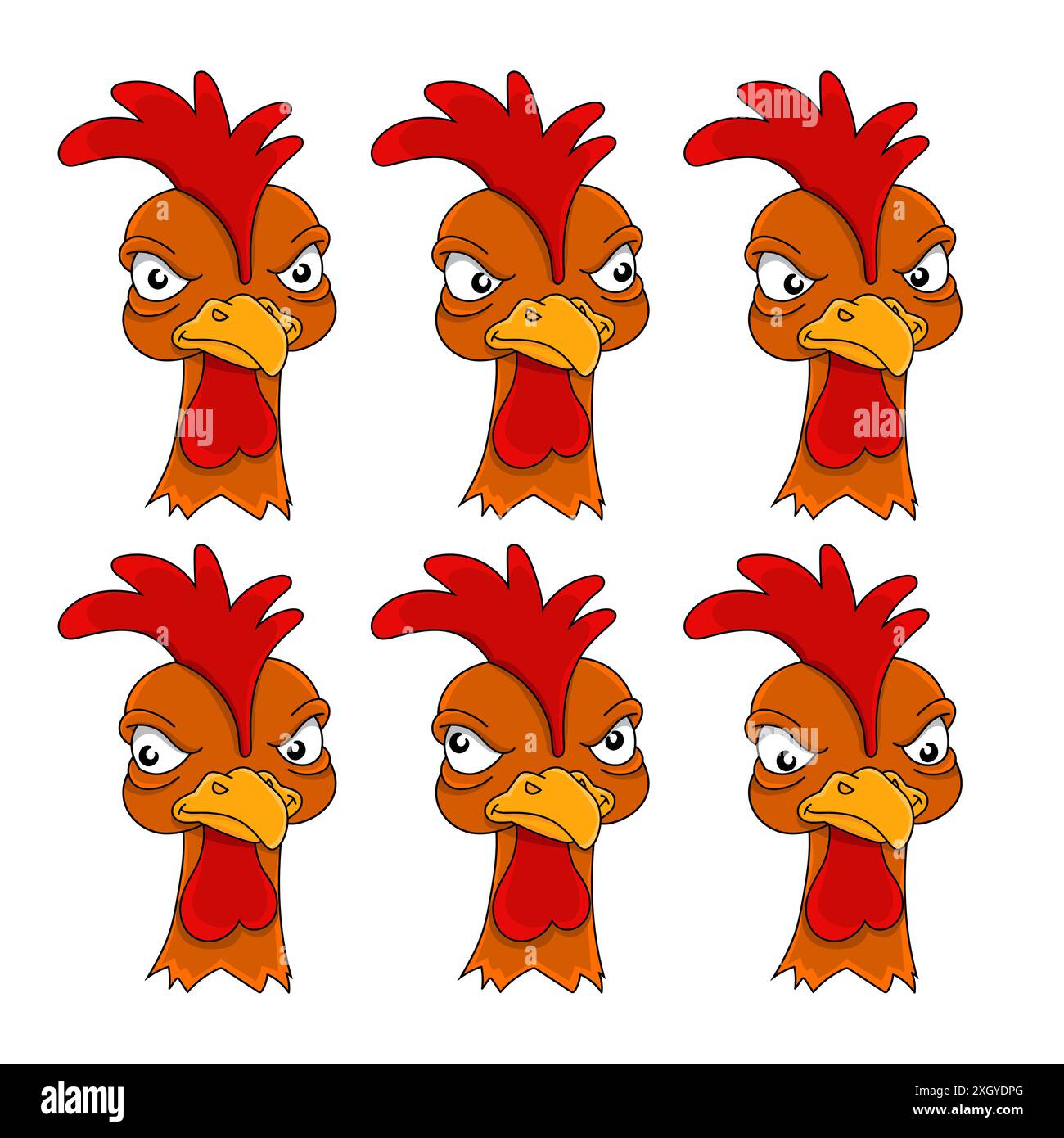 Angry rooster. Set of different eye movements. The bird looks left ...