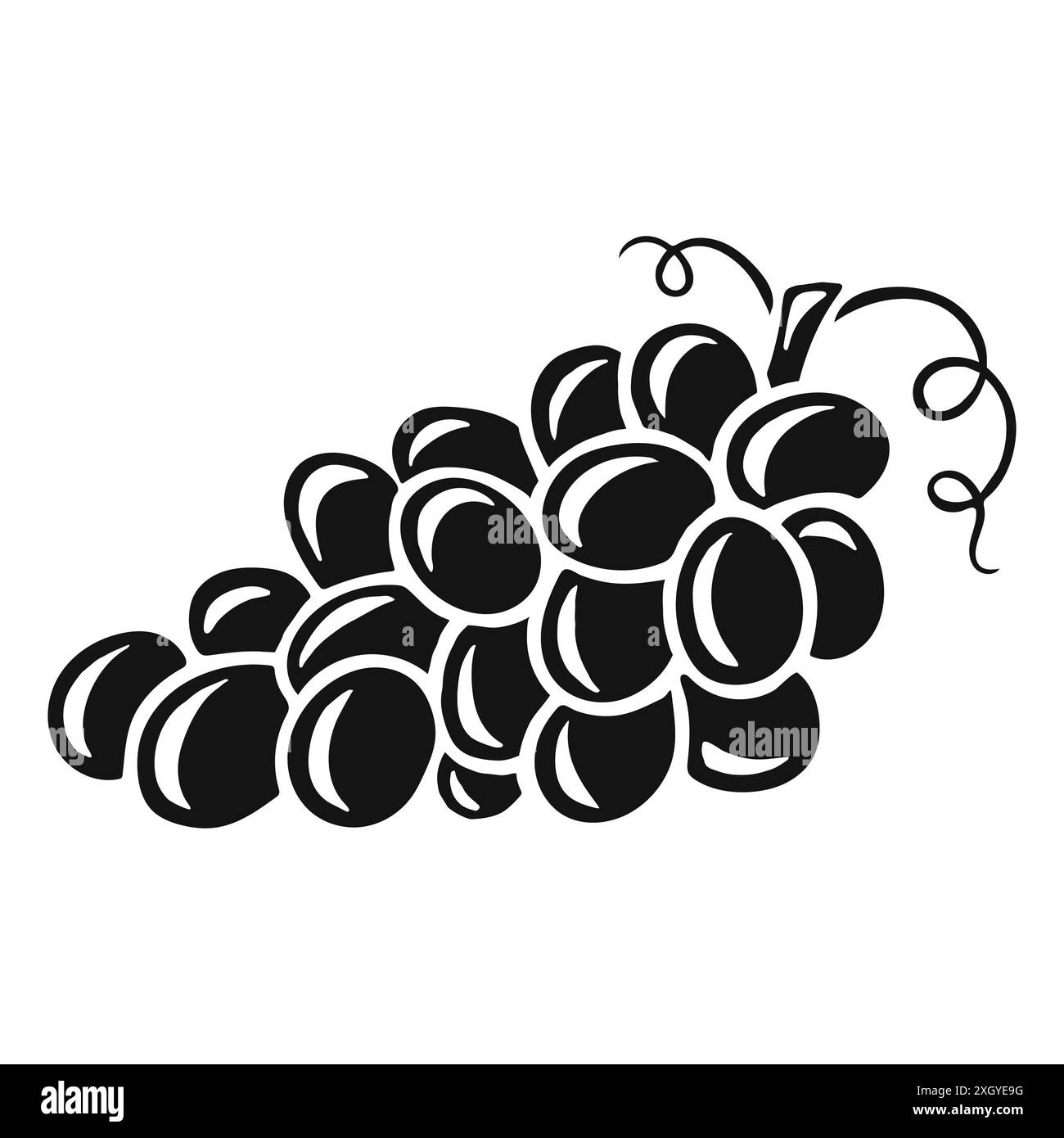 Grape vine. Black silhouette. Design element. Vector illustration isolated on white background ...