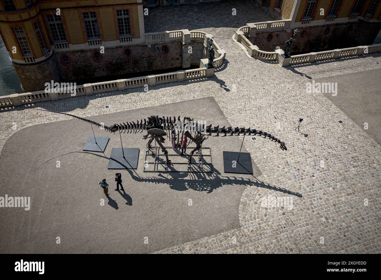 Paris, France. 10th July, 2024. An Apatosaurus' dinosaur skeleton is ...