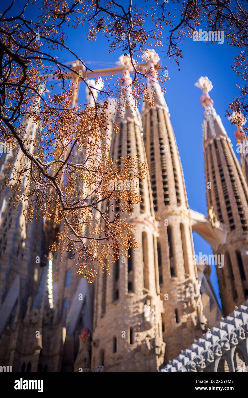 In winter, the Basilica of the Sagrada Familia stands majestic amidst ...