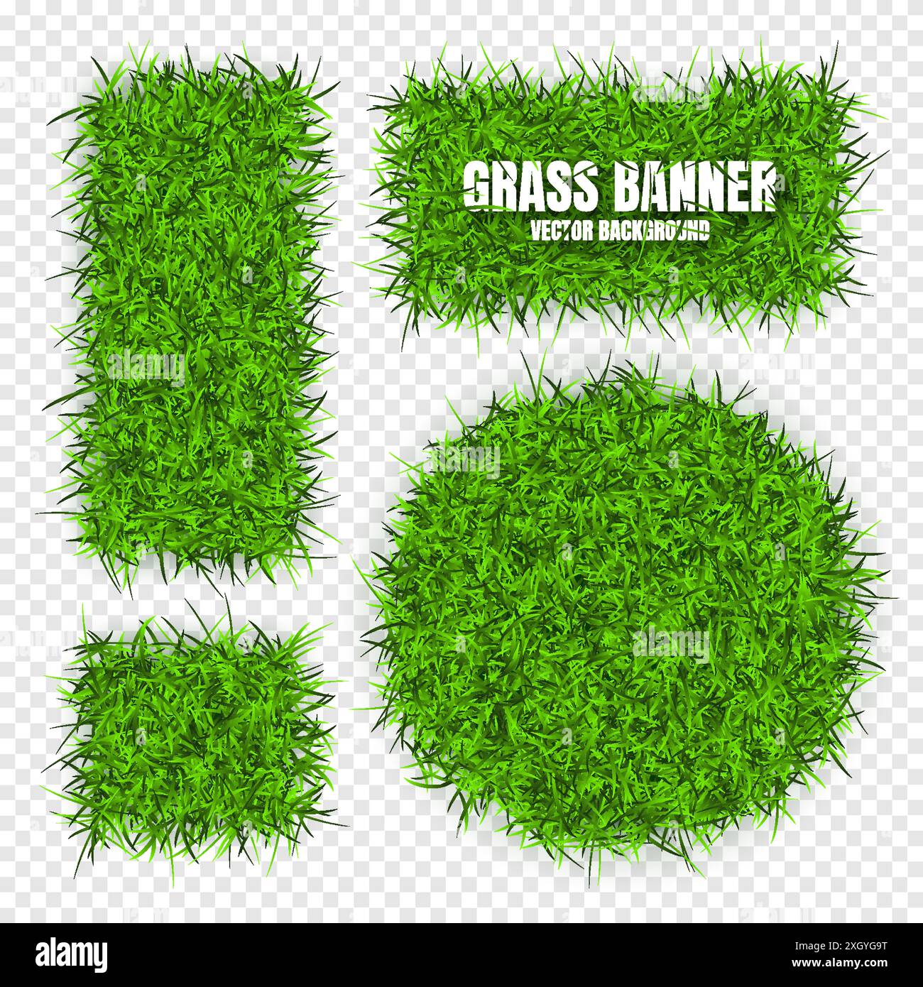 Green grass banners, background. Field, meadow texture, grassy ...
