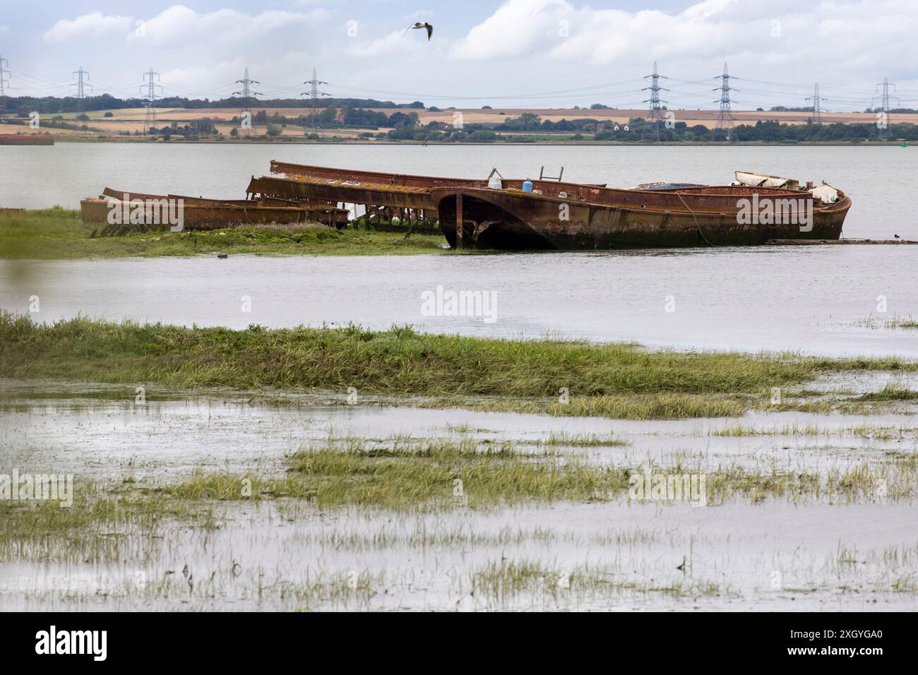 Riverside Country Park is one of Medway's beautiful country parks and ...