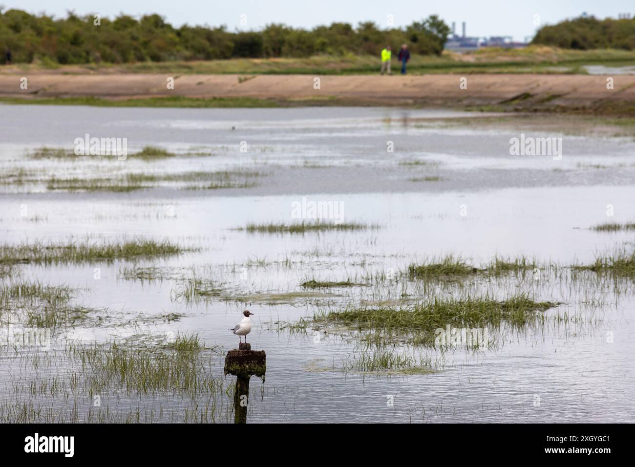 Riverside Country Park is one of Medway's beautiful country parks and ...