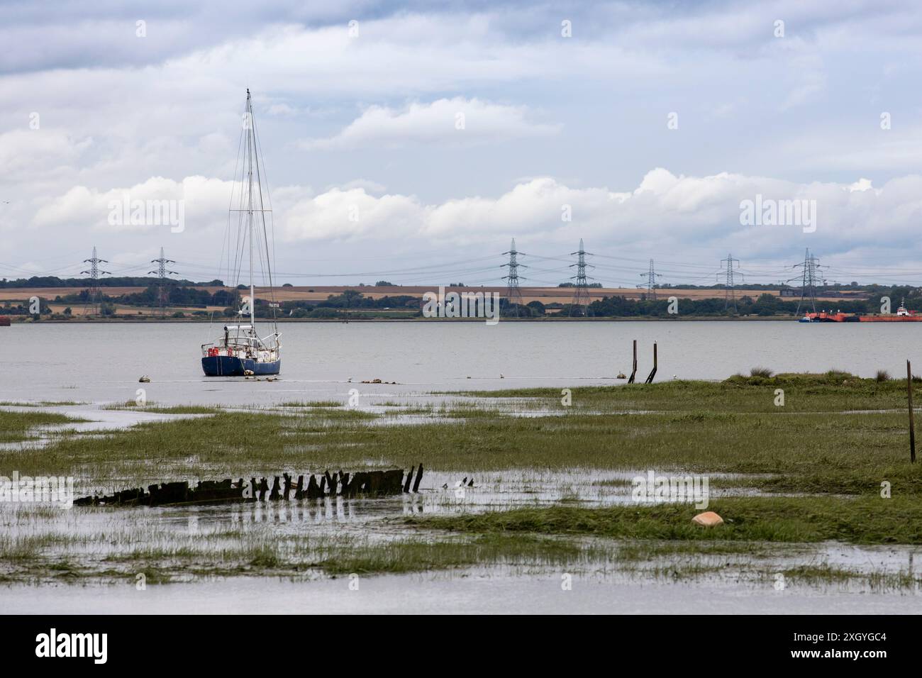 Riverside Country Park is one of Medway's beautiful country parks and ...