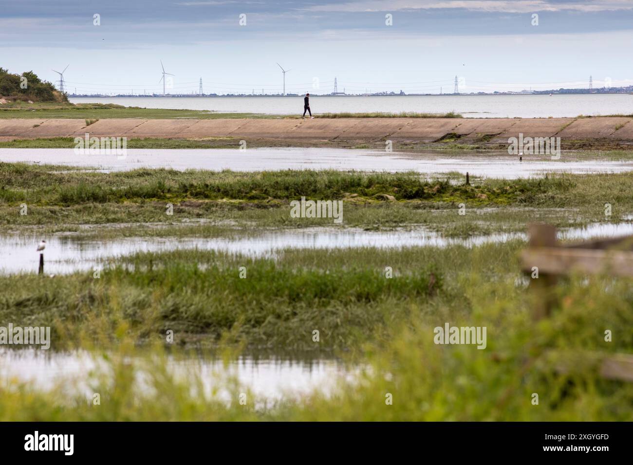 Riverside Country Park is one of Medway's beautiful country parks and ...