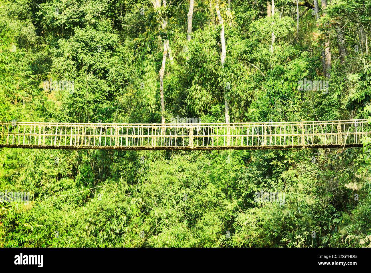 Scenic simple suspension bridge. Amazing footbridge made from rope and ...
