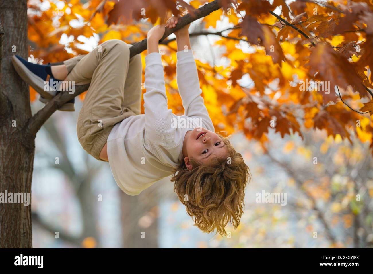 Cute child climbing a autumn tree in the garden. Active child climbing ...