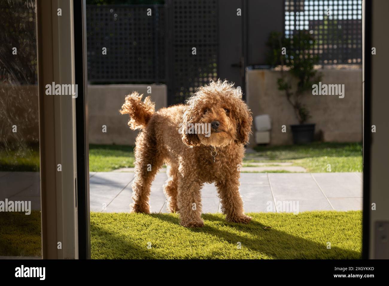 Back to work anxiety hi-res stock photography and images - Alamy