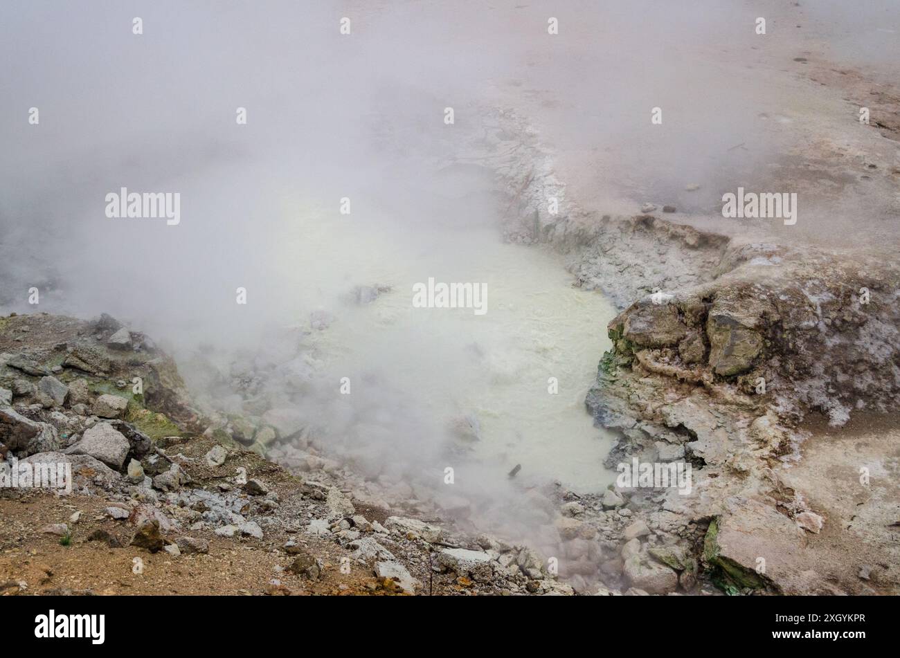 The Mud Geysers, Mud Volcano Group, Yellowstone National Park, Wyoming ...