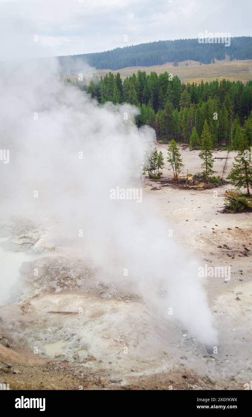 The Mud Geysers, Mud Volcano Group, Yellowstone National Park, Wyoming ...