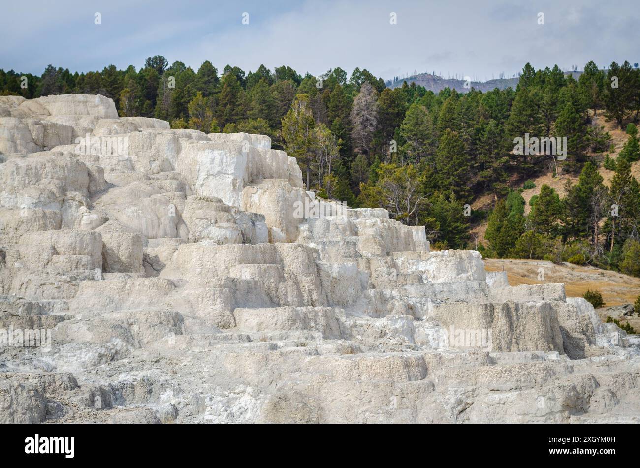 The Minerva Terrace Mammoth Hot Springs Yellowstone National Park ...