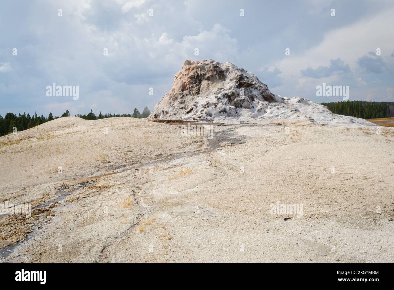 The White Dome Geyser, Lower Geyser Basin geothermal area, Yellowstone ...
