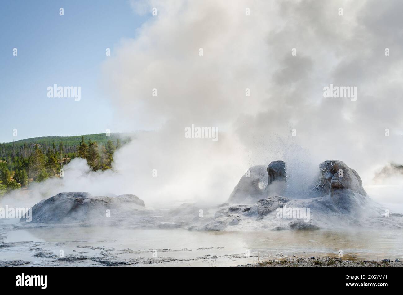 The Grotto Geyser at Yellowstone National Park Stock Photo - Alamy