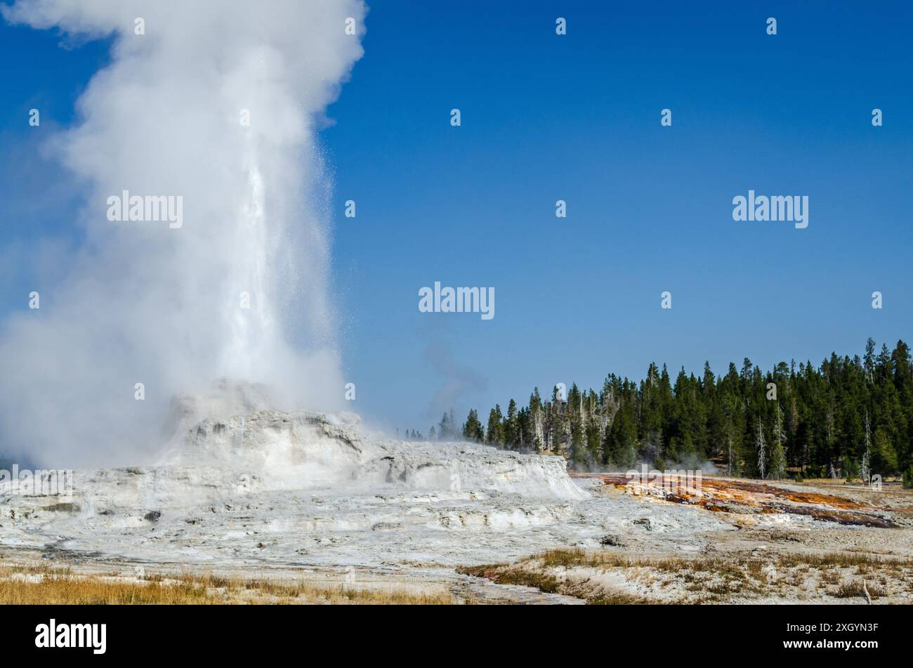 The Castle Geyser erupting, Upper Geyser Basin, Yellowstone National ...