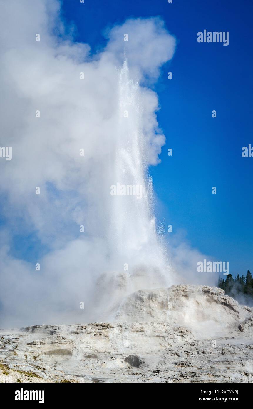 The Castle Geyser erupting, Upper Geyser Basin, Yellowstone National ...