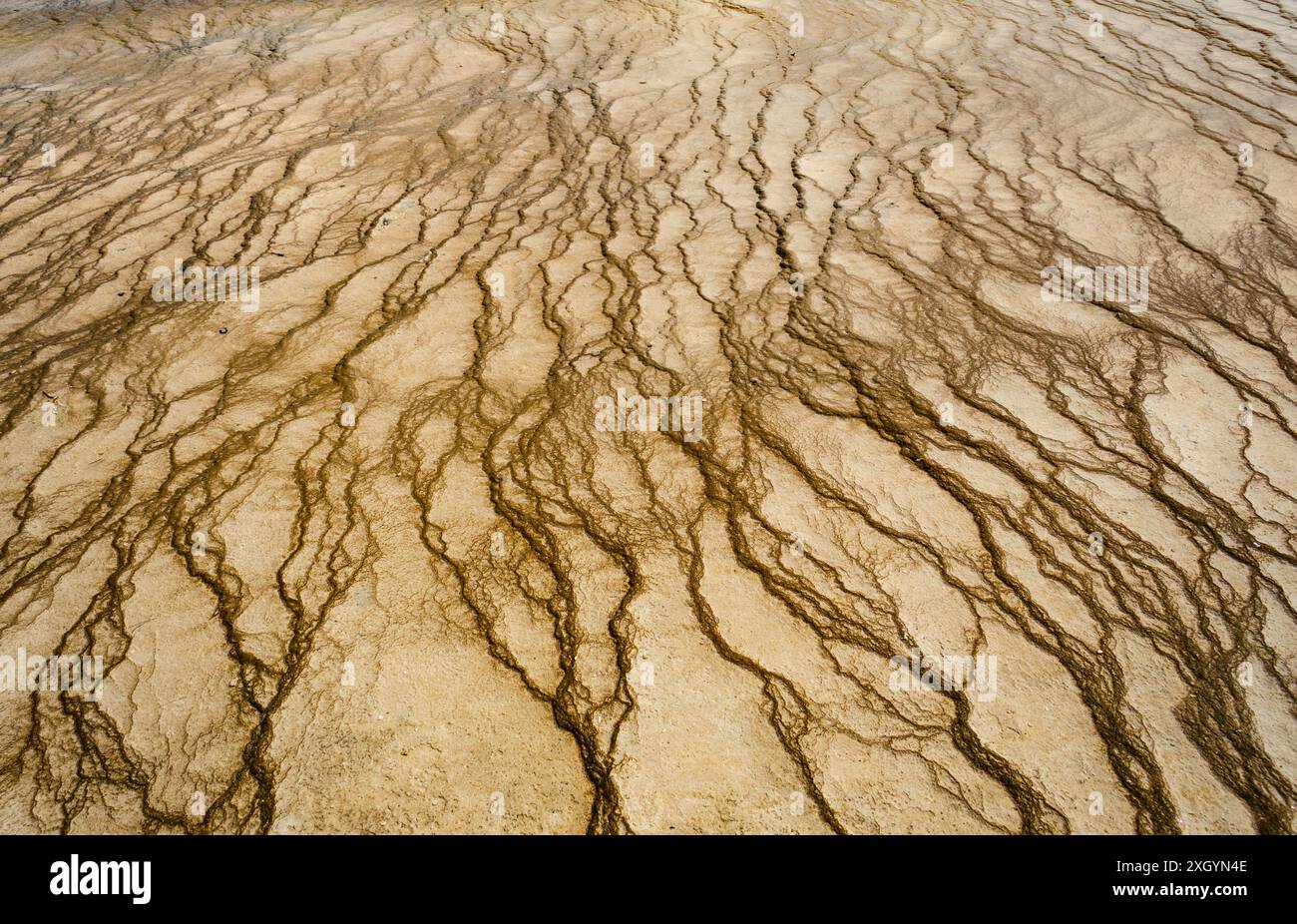 The Grand Prismatic Spring in Yellowstone National Park, Wyoming, USA ...