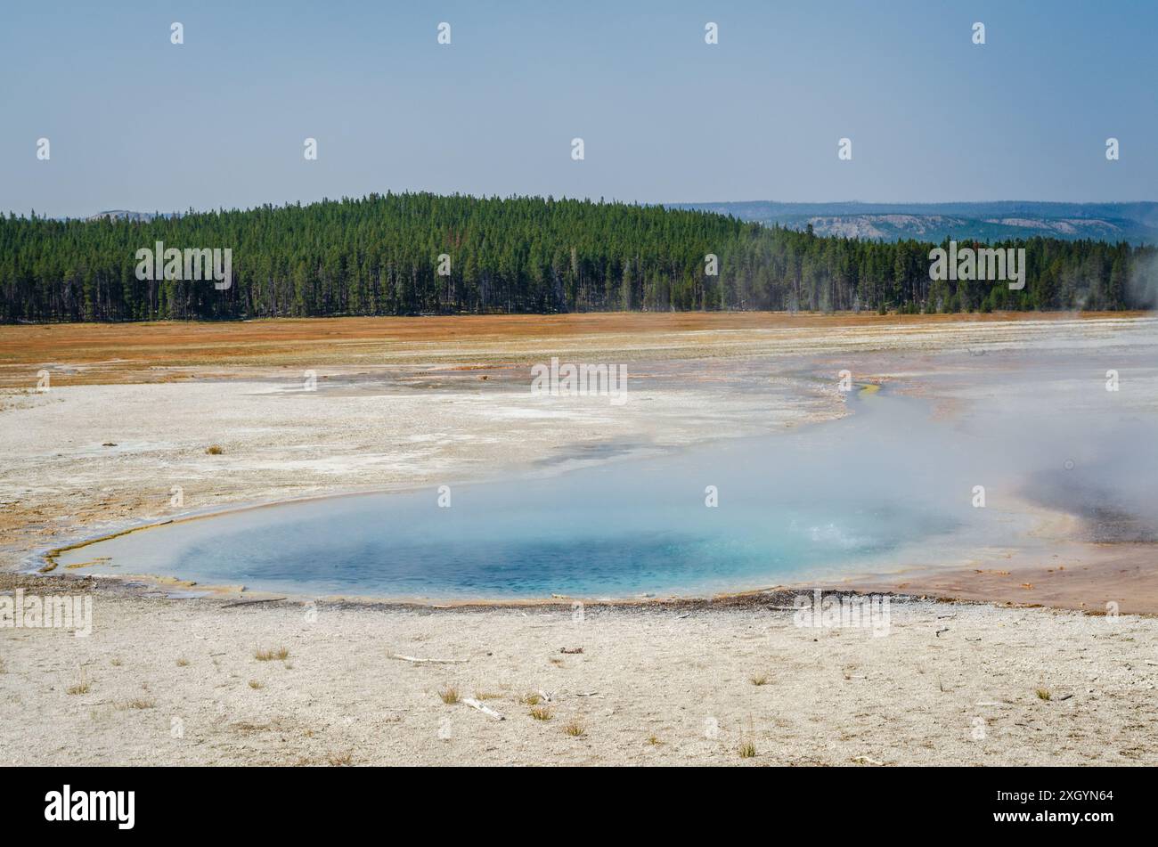 The White silica-rich sinter on the Ground by the Hydrothermal Waters ...