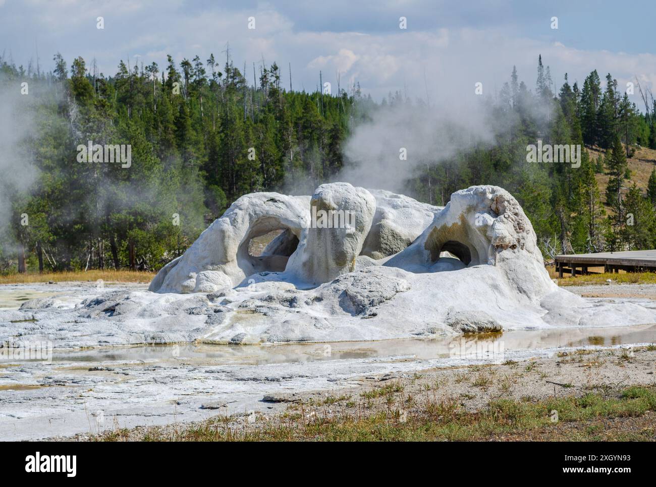 The Grotto Geyser at Yellowstone National Park Stock Photo - Alamy