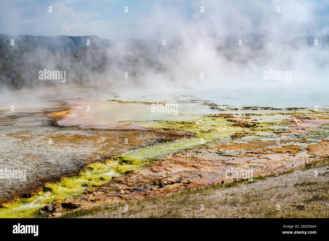 The White silica-rich sinter on the Ground by the Hydrothermal Waters ...