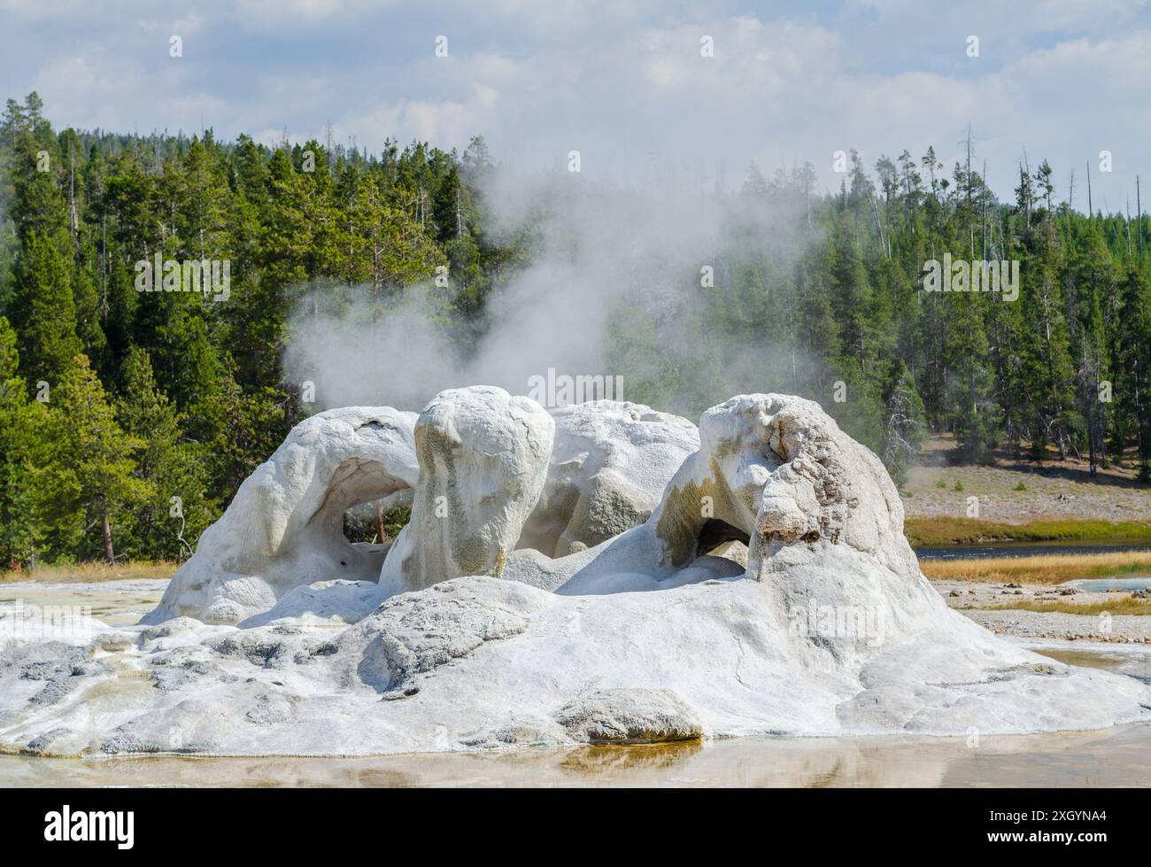 The Grotto Geyser at Yellowstone National Park Stock Photo - Alamy