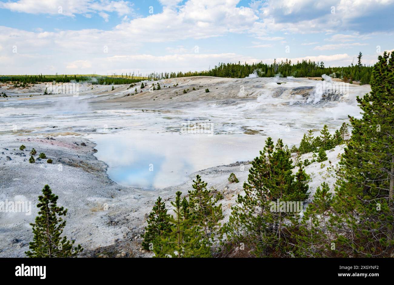 The Porcelain Basin Trail at Norris Geyser Basin with White silica-rich ...