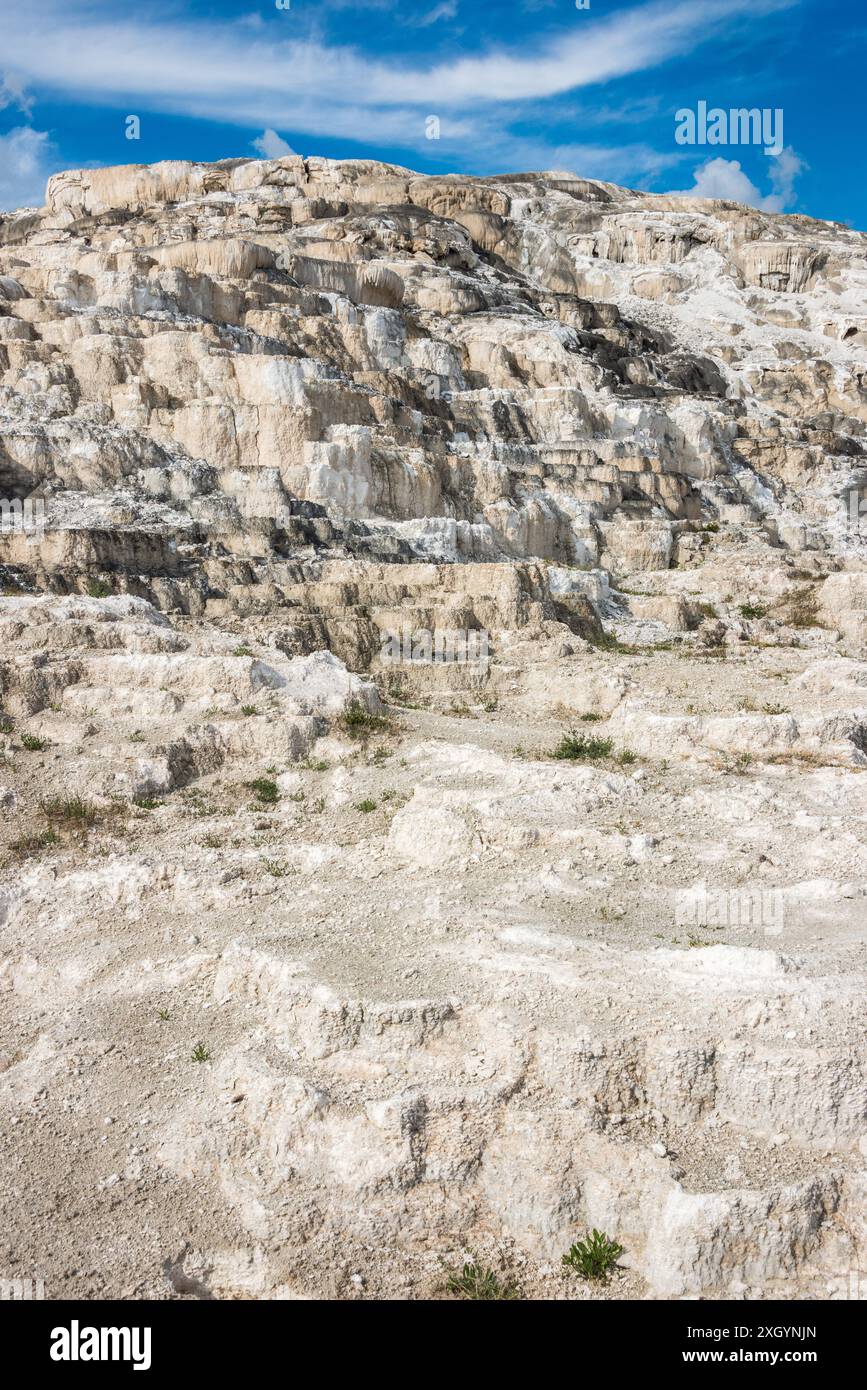 The Minerva Terrace Mammoth Hot Springs Yellowstone National Park ...