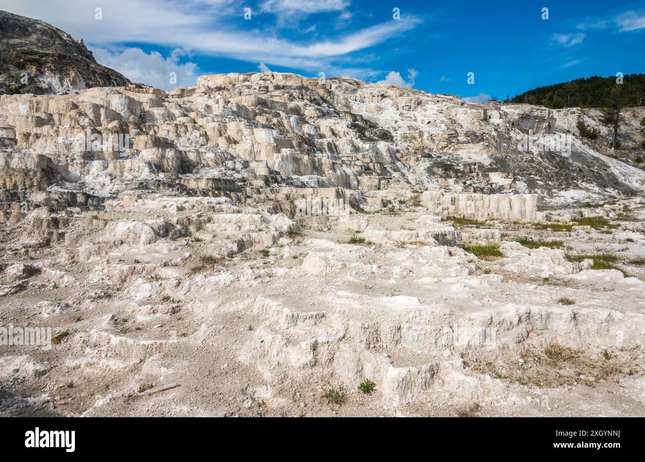 The Minerva Terrace Mammoth Hot Springs Yellowstone National Park ...