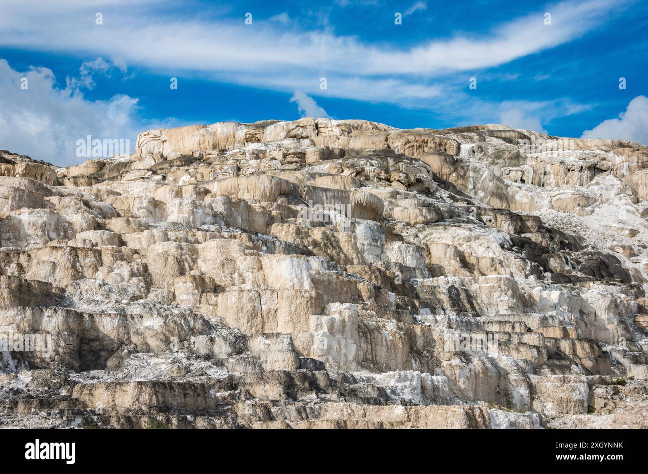 The Minerva Terrace Mammoth Hot Springs Yellowstone National Park ...