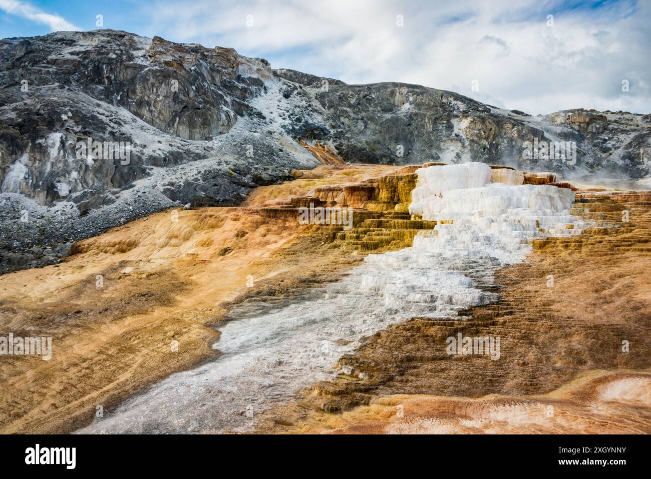 The Mound Spring and Jupiter Terrace, Mammoth Hot Springs, Yellowstone ...