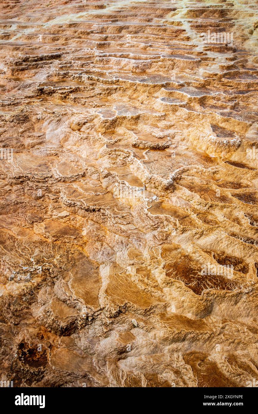 The Mound Spring and Jupiter Terrace, Mammoth Hot Springs, Yellowstone ...
